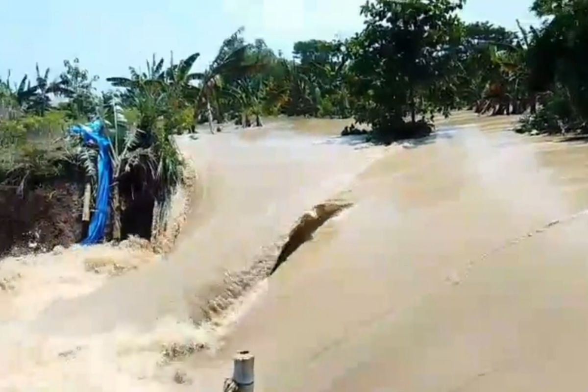 Demak hit by flooding again due to breach in Sungai Tuntang embankment ...