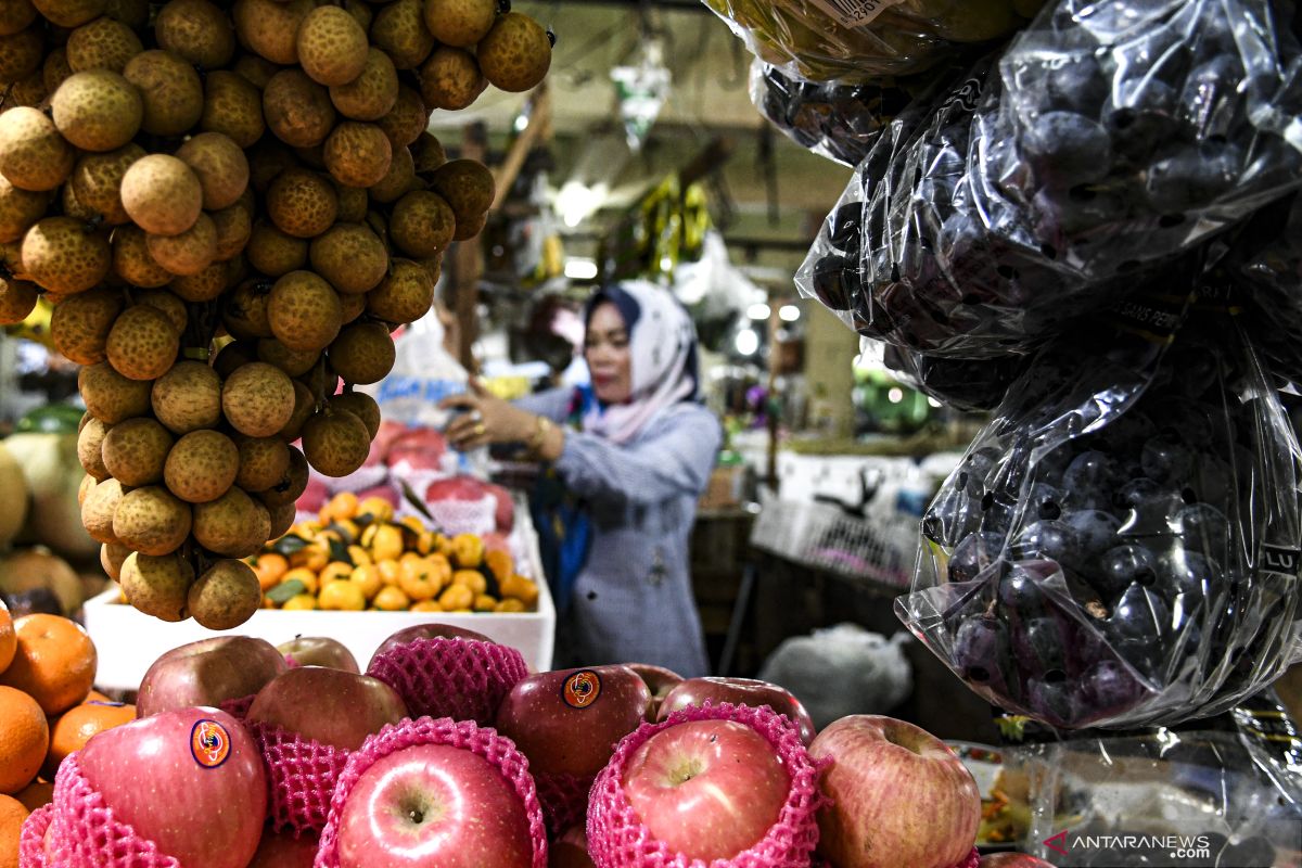 Mikul Buah Festival becomes a space for reflection on 105 years of ...
