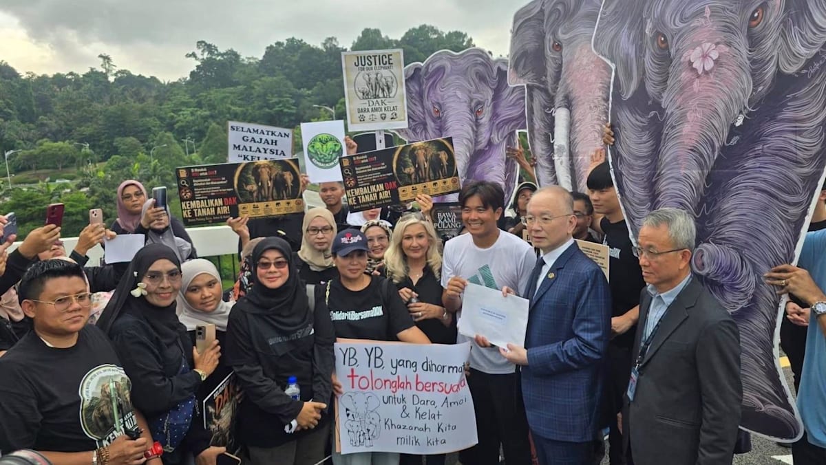 Malaysia’s anti-graft agency launches probe into elephants’ transfer to ...